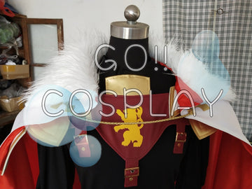 Fate/Zero, F/SN, F/GO, Fate/Apocrypha Cosplay Costumes, Props, Wig Buy ...